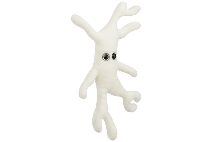 Hermosolu / Hermosolu / Neuron Giant MIchrobe – Flyga Drake